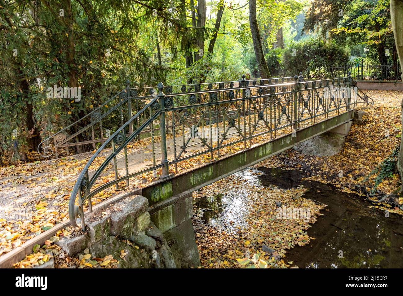 River salzbach hi-res stock photography and images - Alamy
