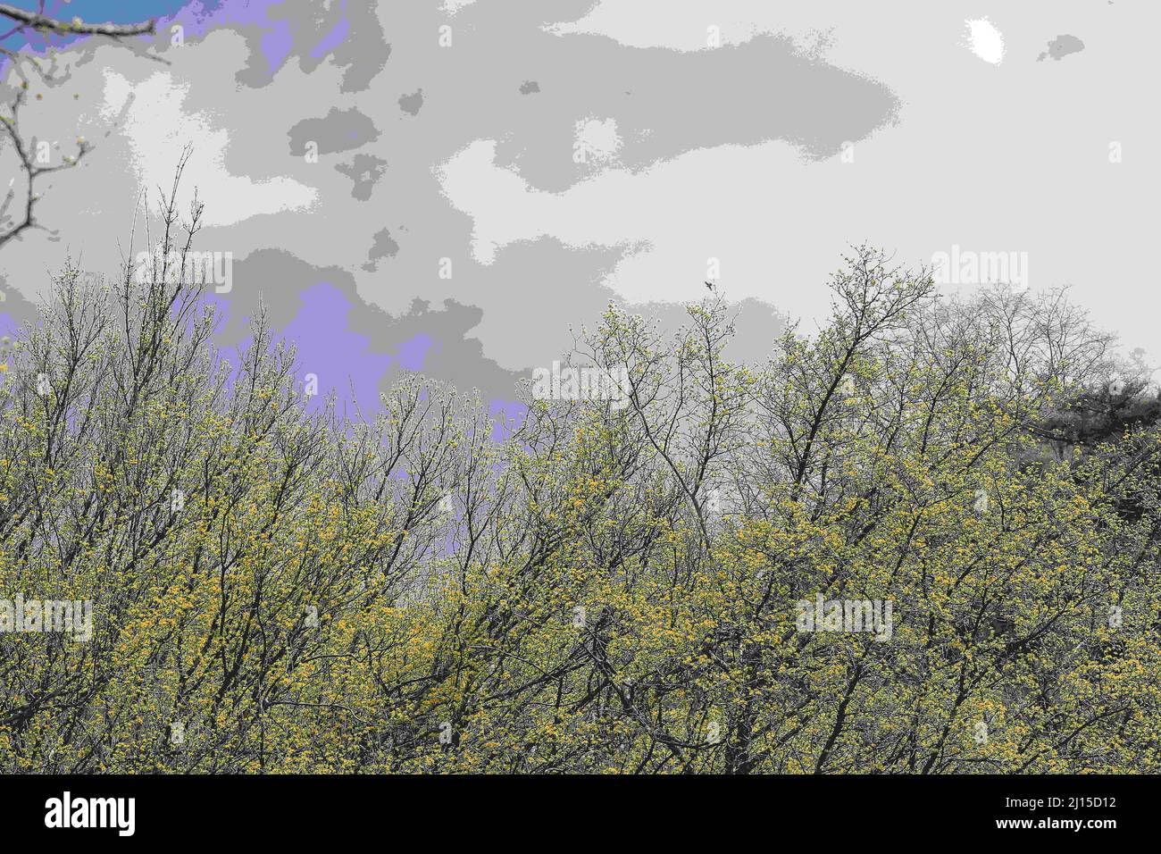 Bonghwa, Gyeongbuk, South Korea. 22nd Mar, 2022. March 22, 2022-Bonghwa ...