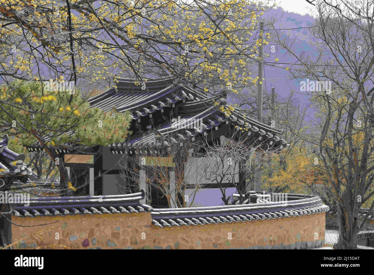 Bonghwa, Gyeongbuk, South Korea. 22nd Mar, 2022. March 22, 2022-Bonghwa ...