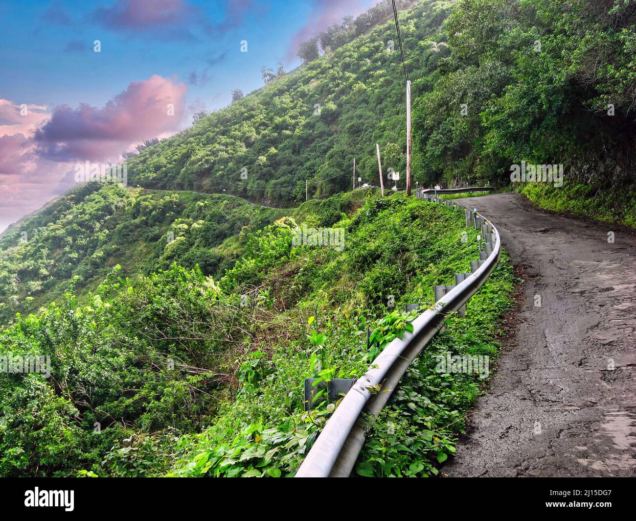 Waipio Valley Road, the steepest road in the USA leading down to ...