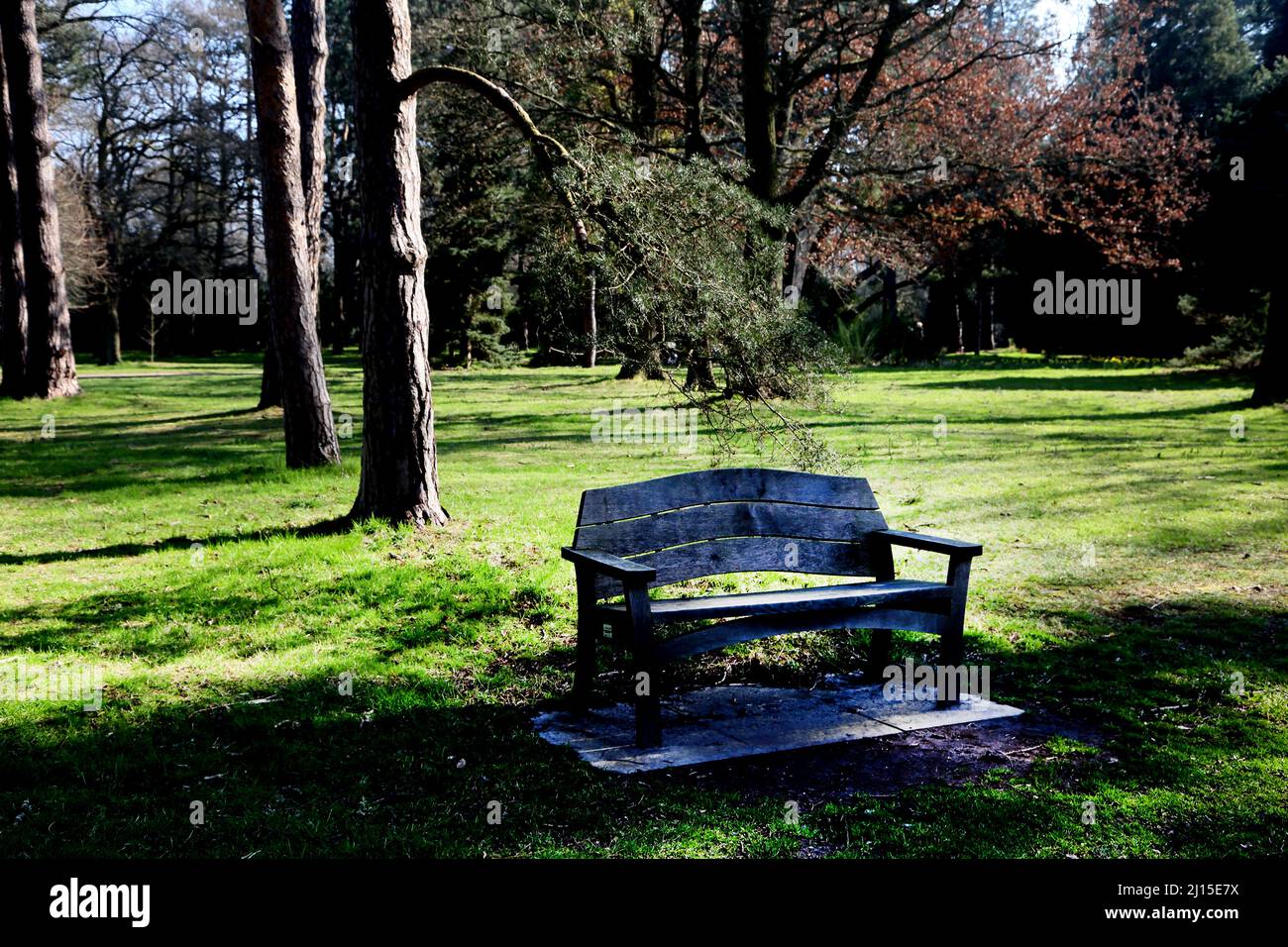 Bench under the Shade of Trees in Wisley RHS Garden Surrey England ...