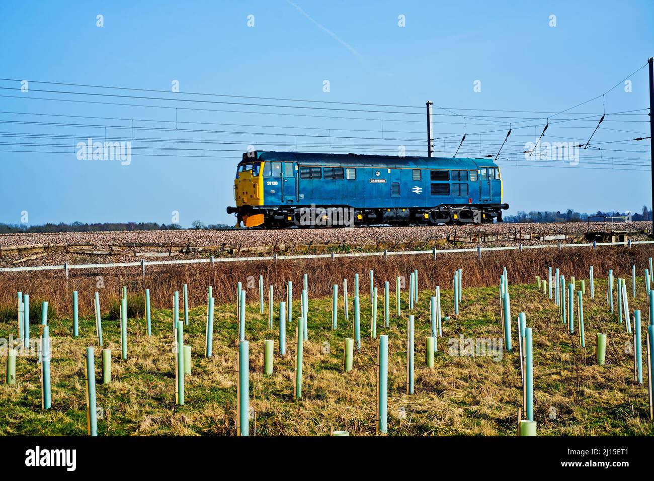 Class 31 locomotive hi-res stock photography and images - Alamy