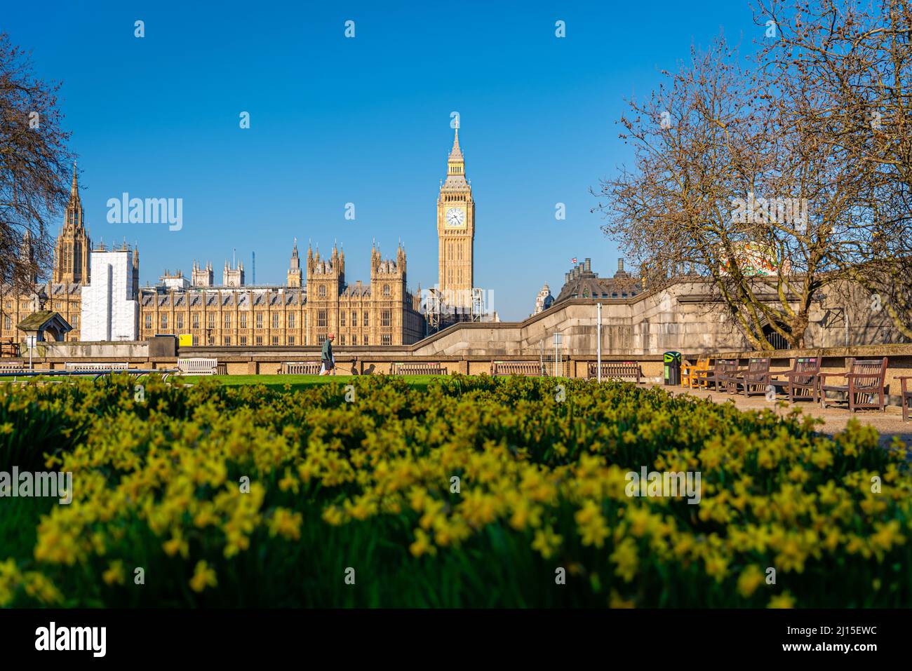 Big ben houses parliament spring hi-res stock photography and images ...