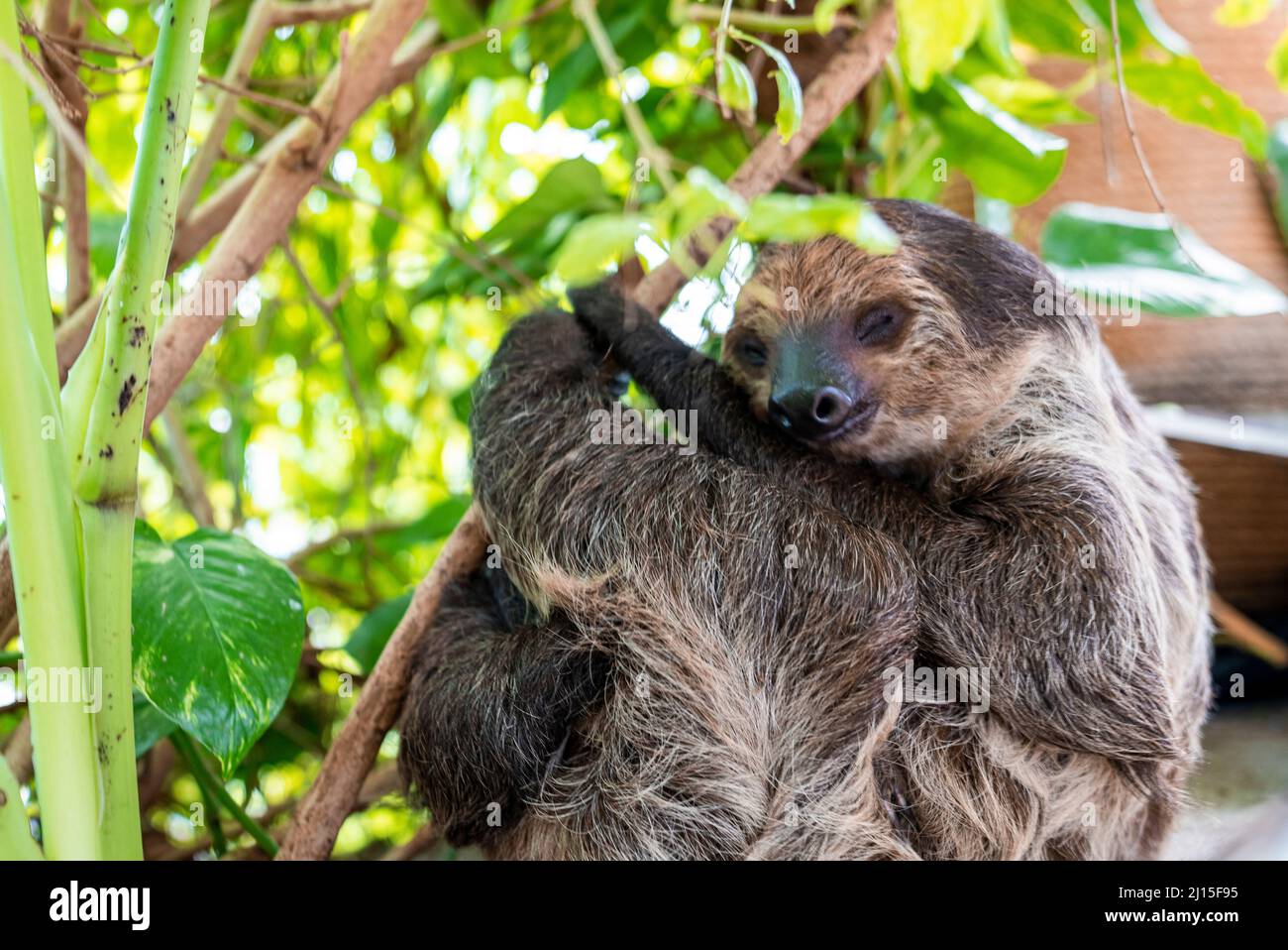 Sleeping beauty city hi-res stock photography and images - Alamy