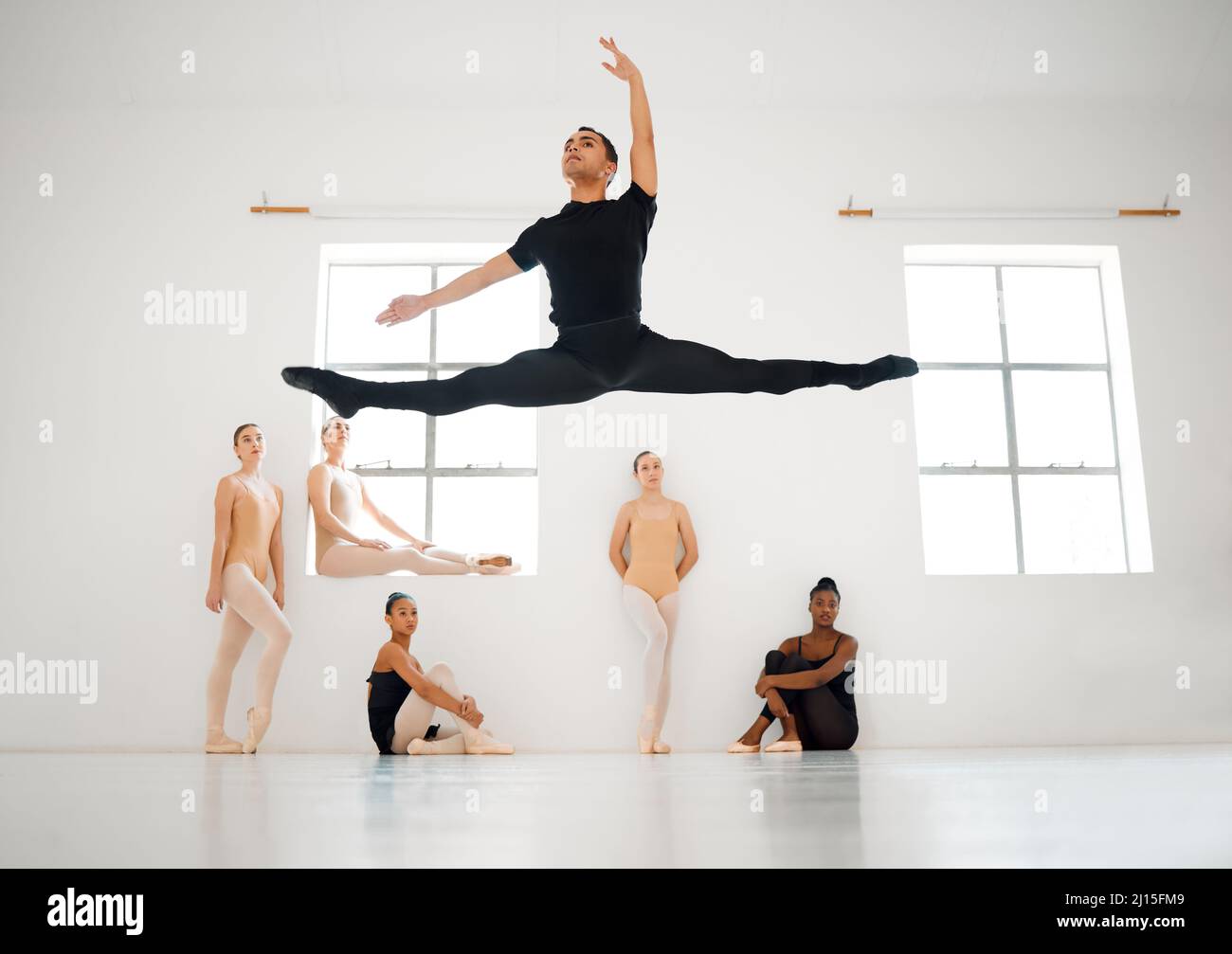 Larger, more beautiful, more powerful. Shot of a group of ballet ...