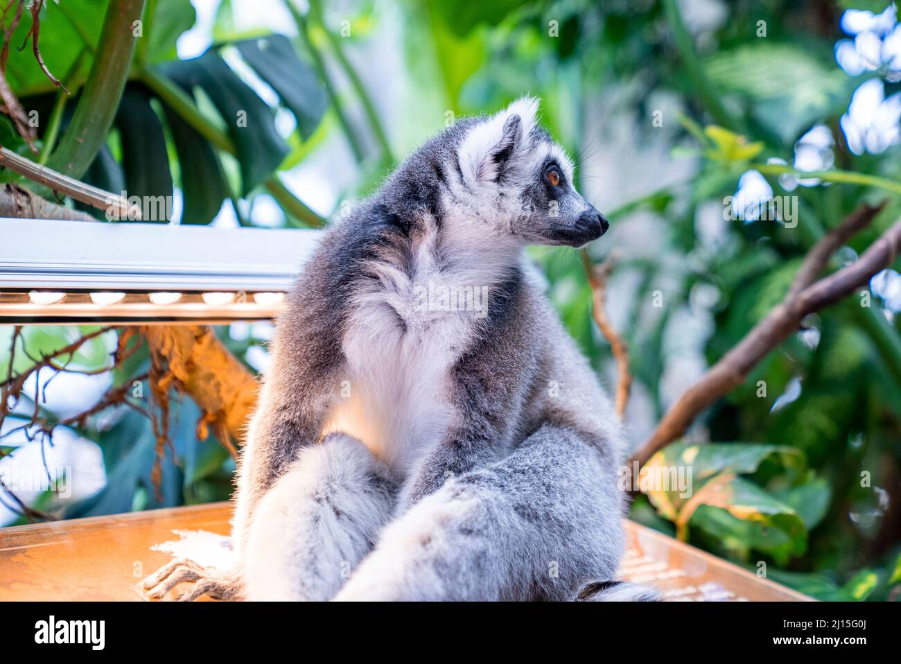 Sign board zoo hi-res stock photography and images - Alamy