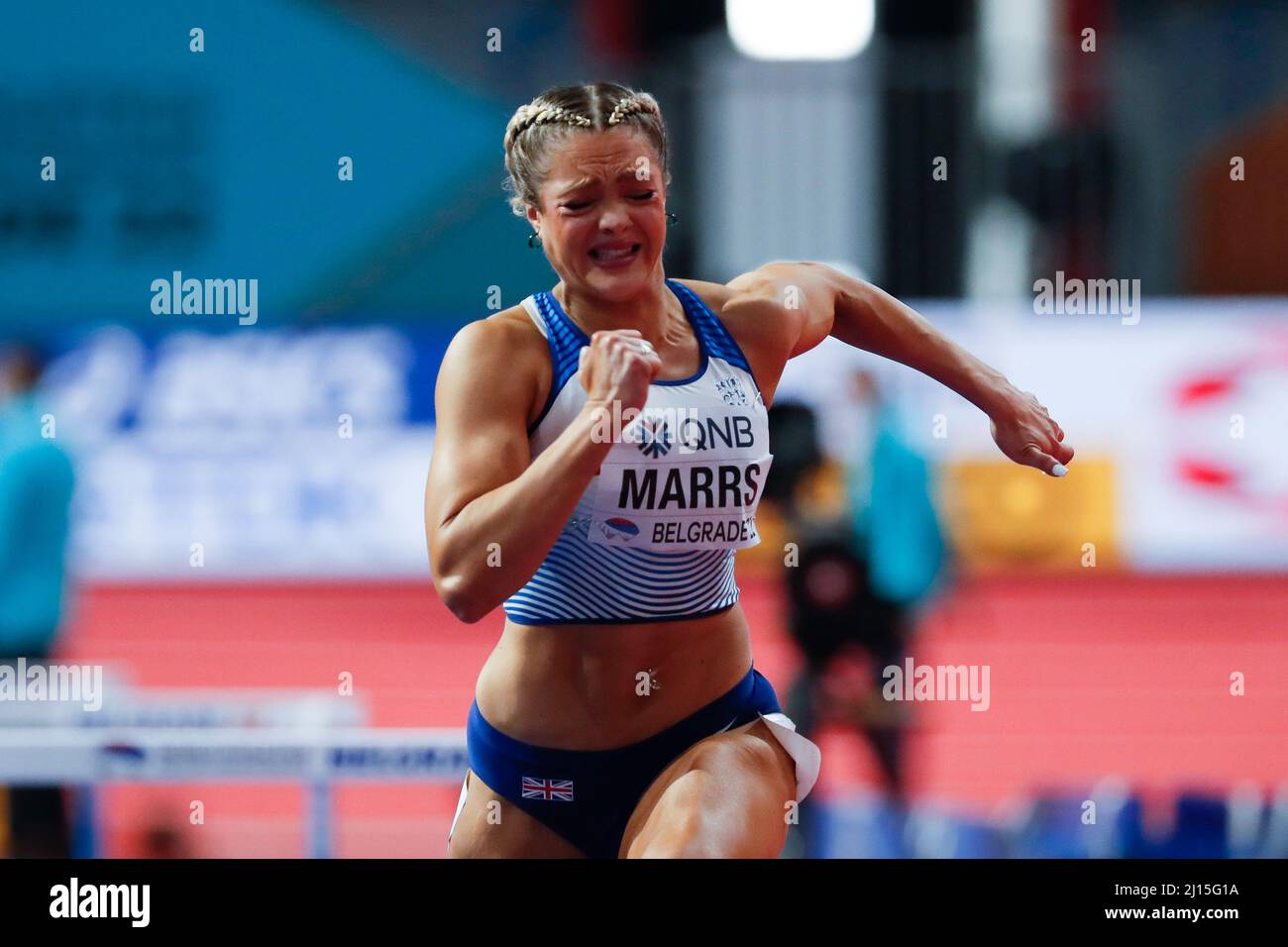 Marris hi-res stock photography and images - Alamy