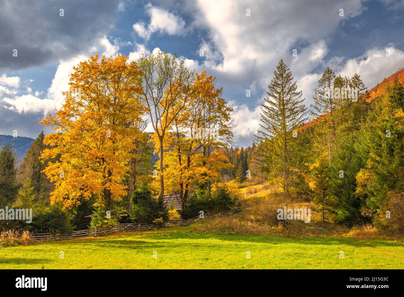 Autumn rural landscape in a mountain valley. The Vratna valley in Mala ...