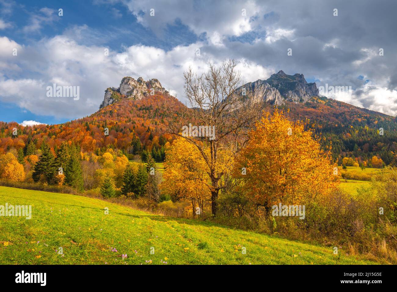 Autumn rural landscape with mountains peaks on background. The Vratna ...