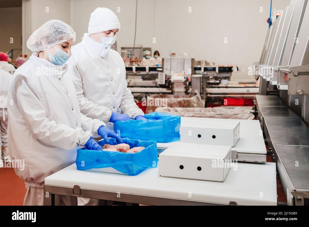 Chicken fillet production line . Factory for the production of food ...