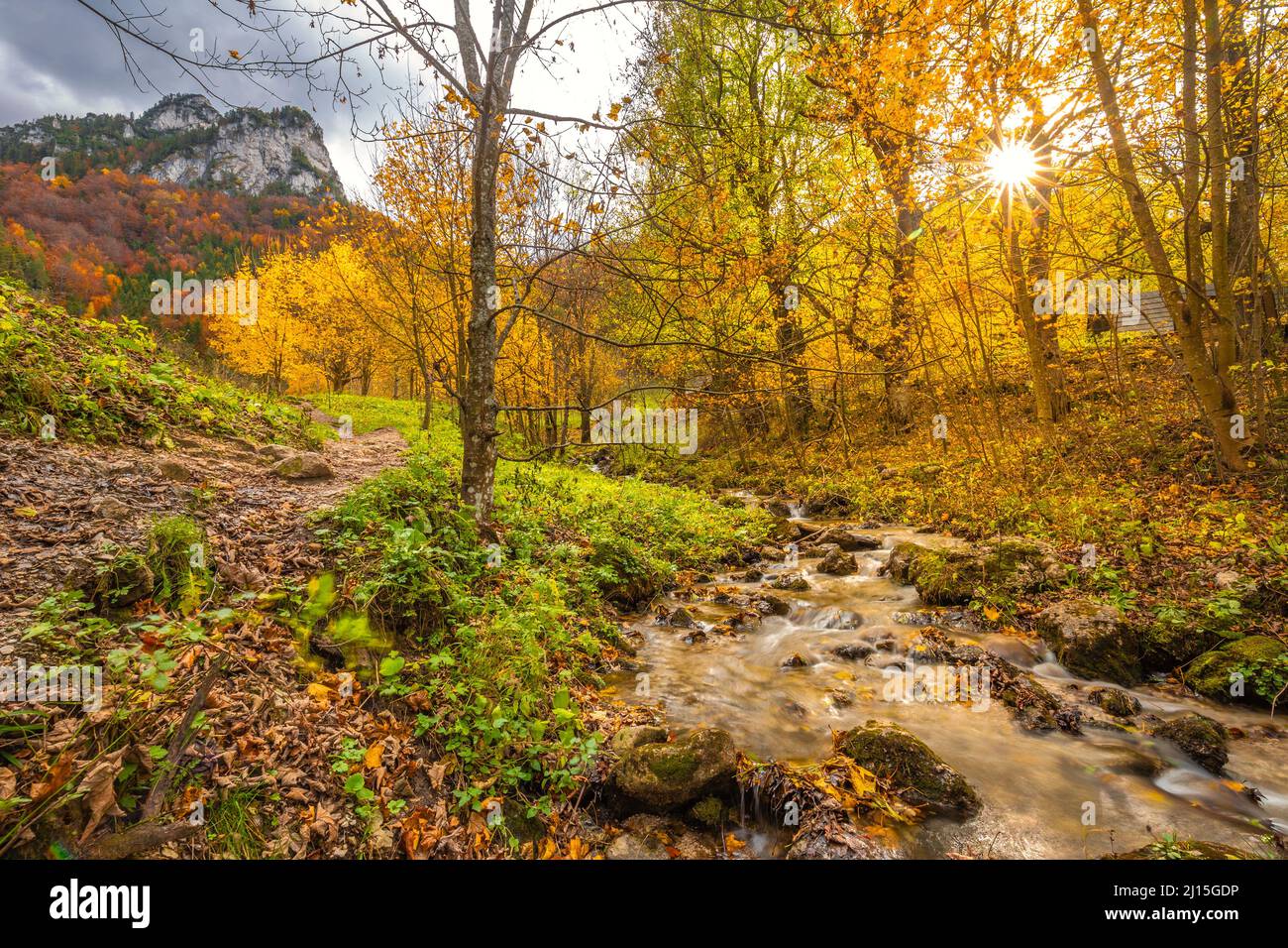 Mountain valley landscape with stream in autumn. The Vratna valley in ...