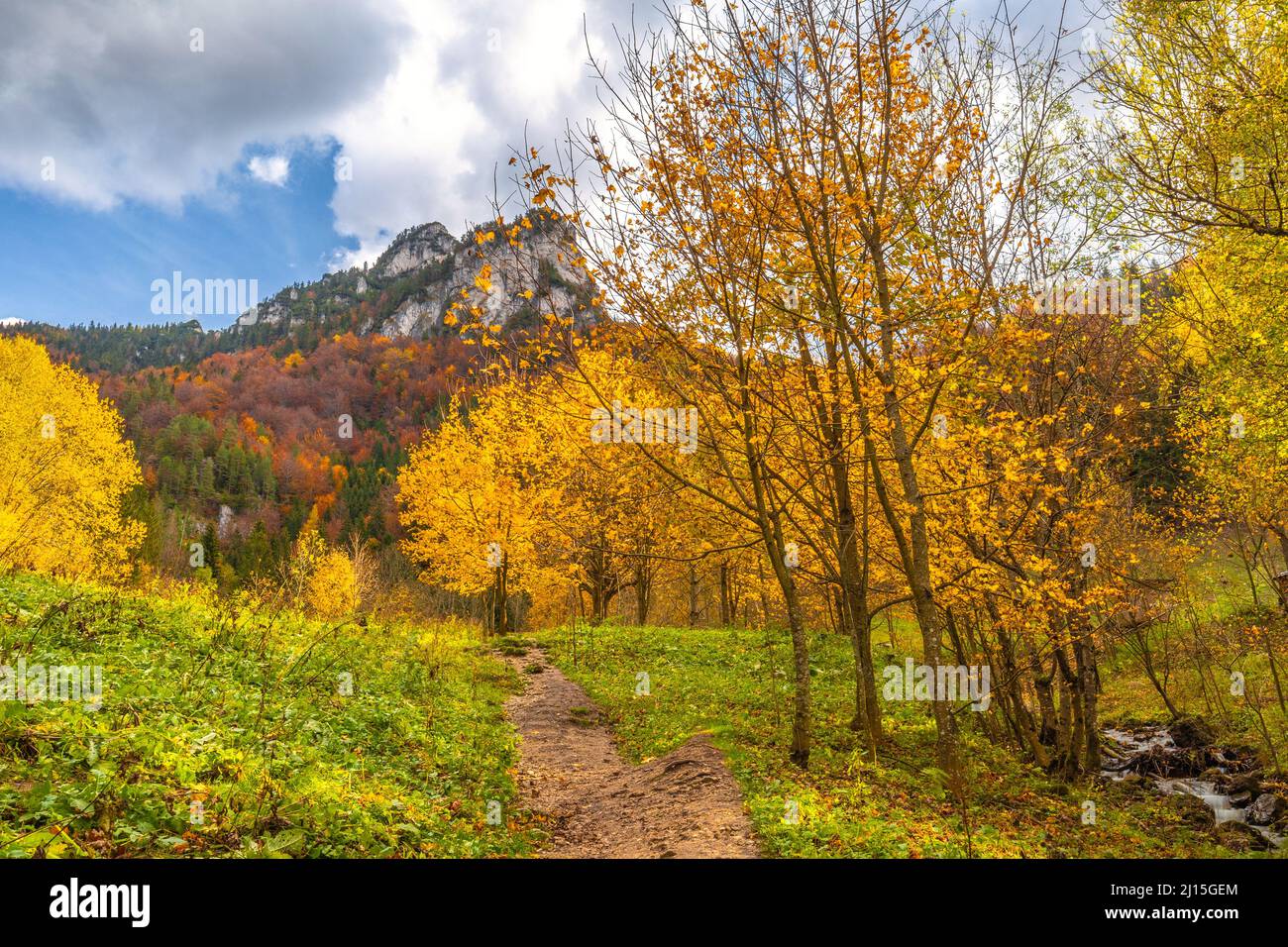 Mountain valley landscape in autumn. The Vratna valley in Mala Fatra ...