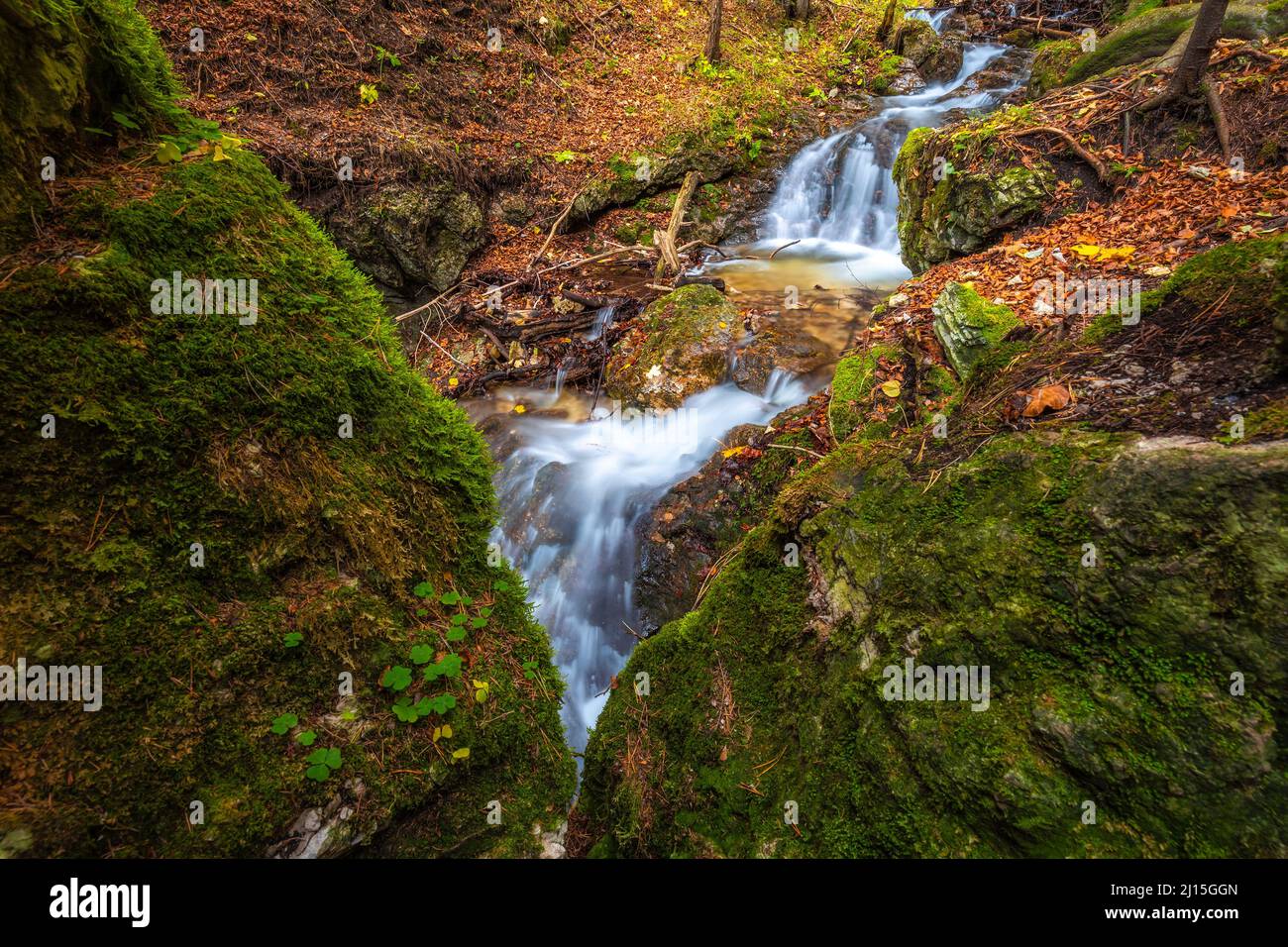 Waterfall on wild stream in a forest at autumn. The Vratna valley in ...