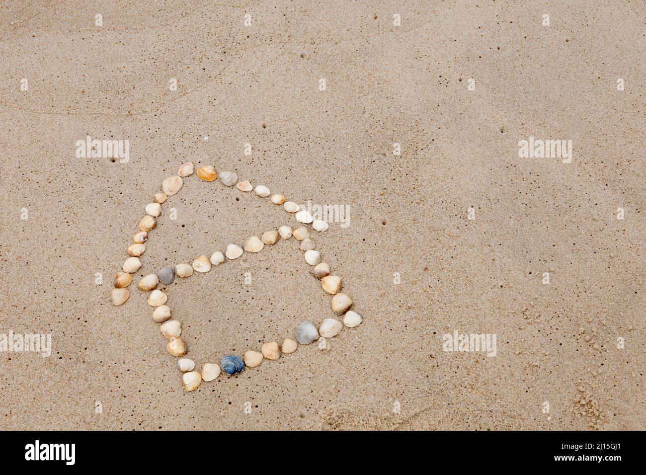House made of mussels on beach sand Stock Photo - Alamy