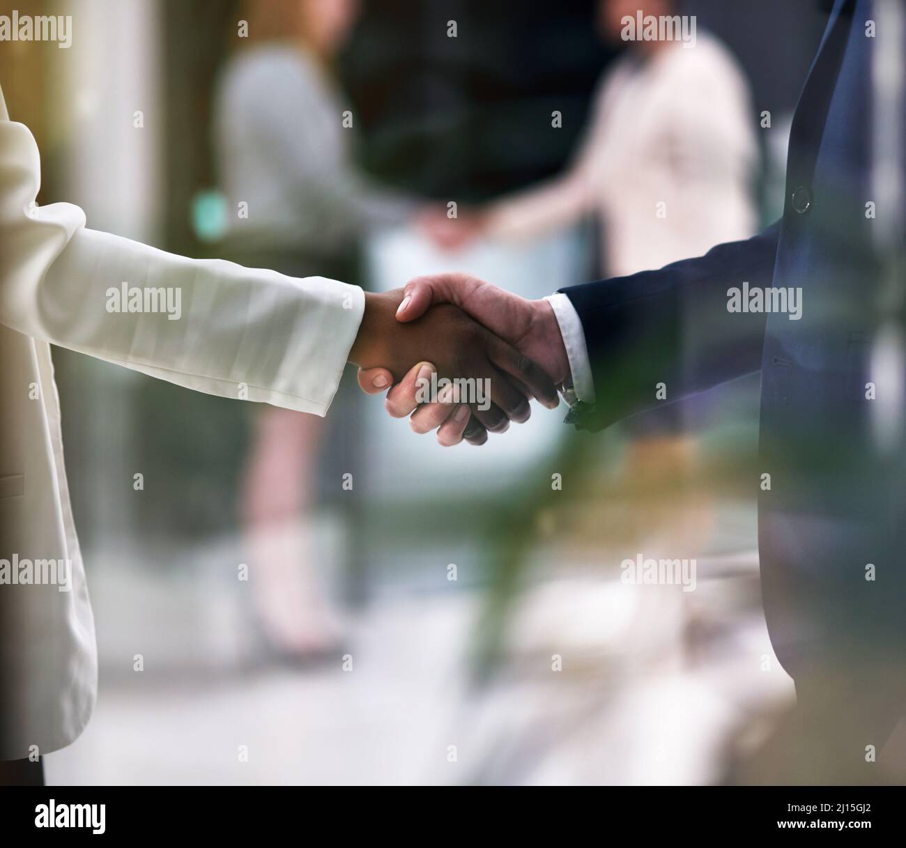 Professional introductions hi-res stock photography and images - Alamy