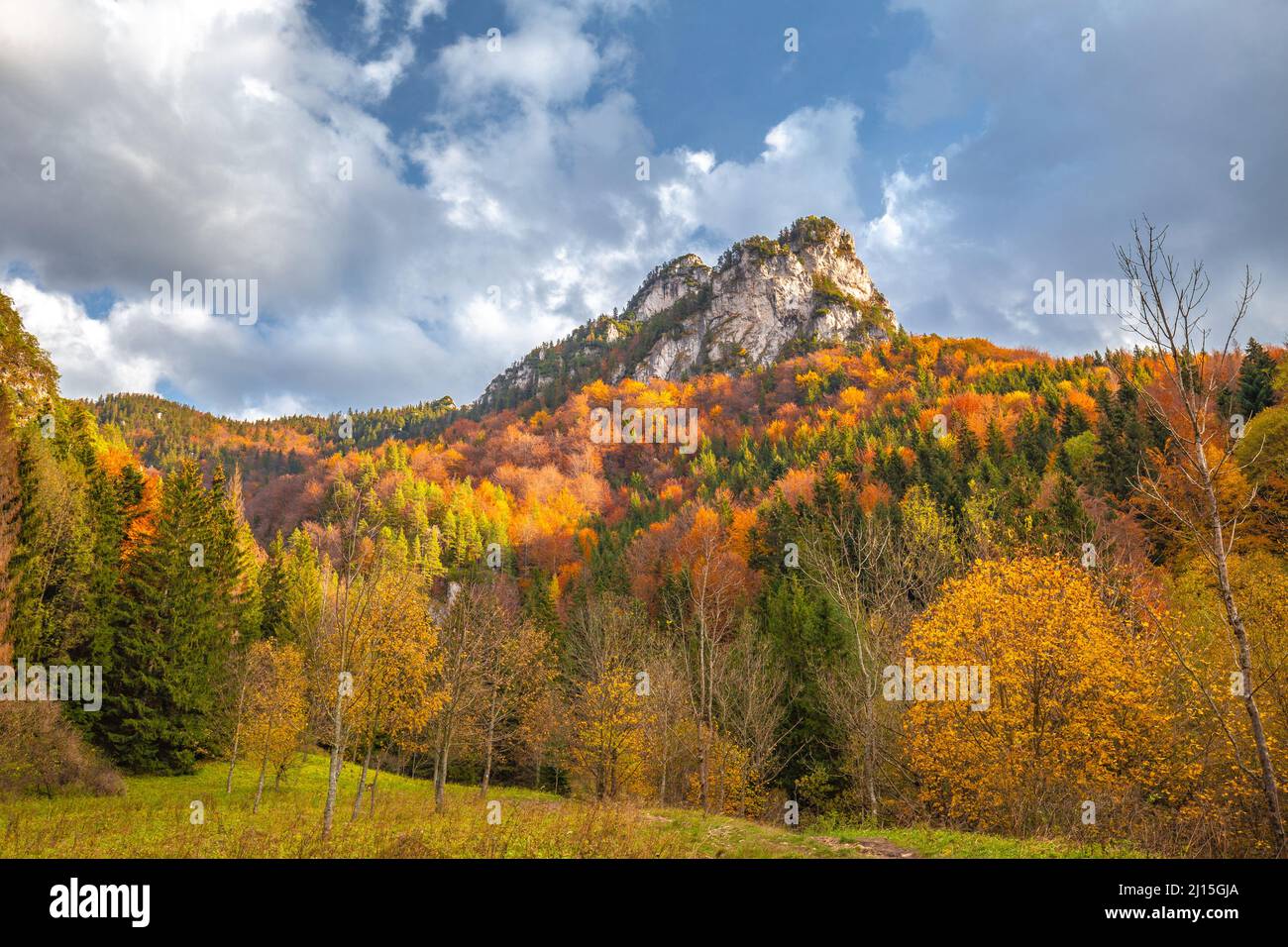 Mountain landscape with colorful forests in autumn. The Vratna valley ...