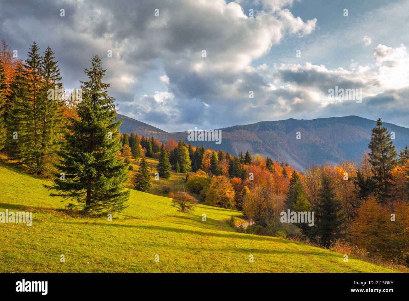 Mountain valley landscape in autumn. The Vratna valley in Mala Fatra ...