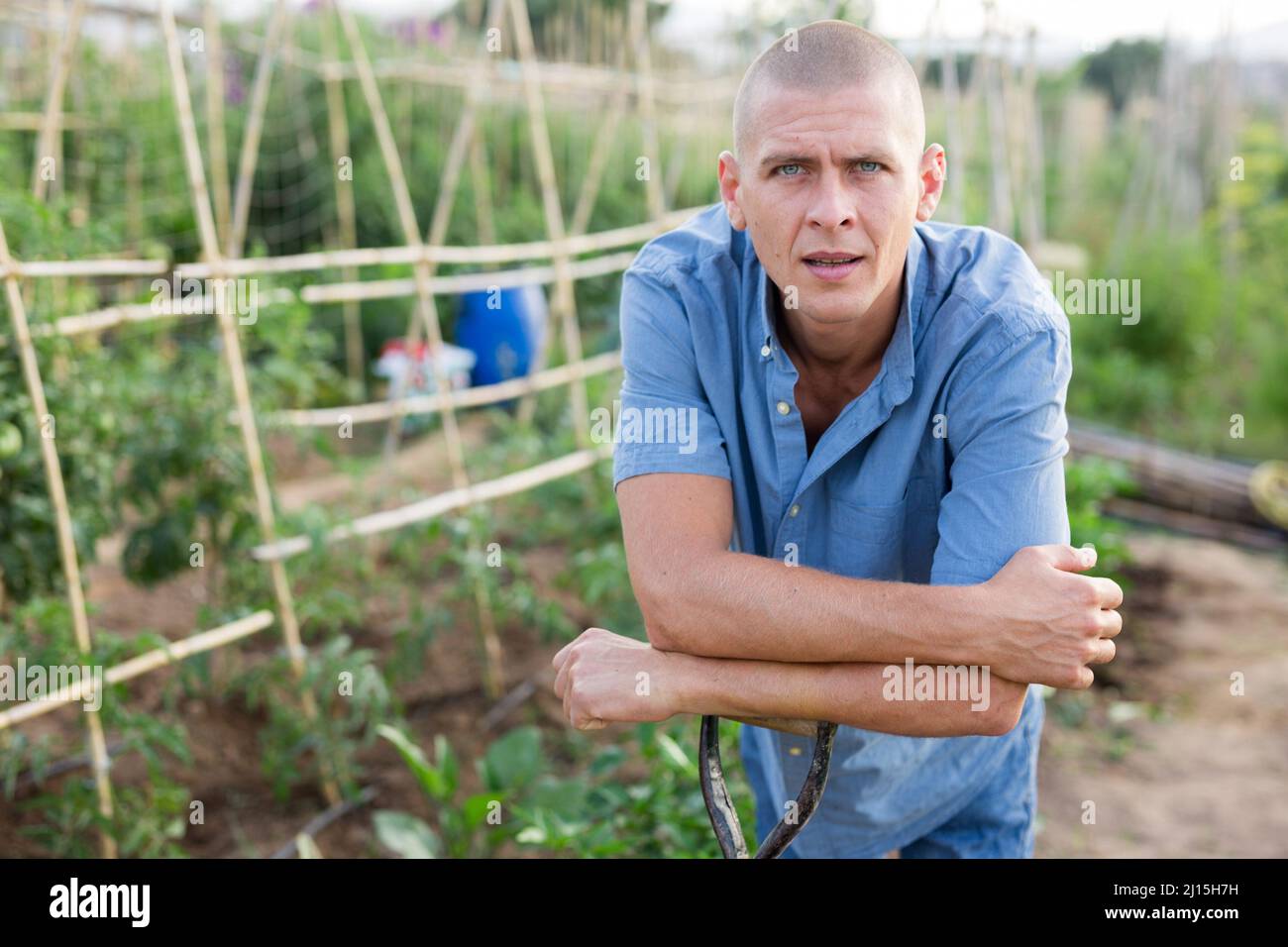 Digs trench hi-res stock photography and images - Alamy