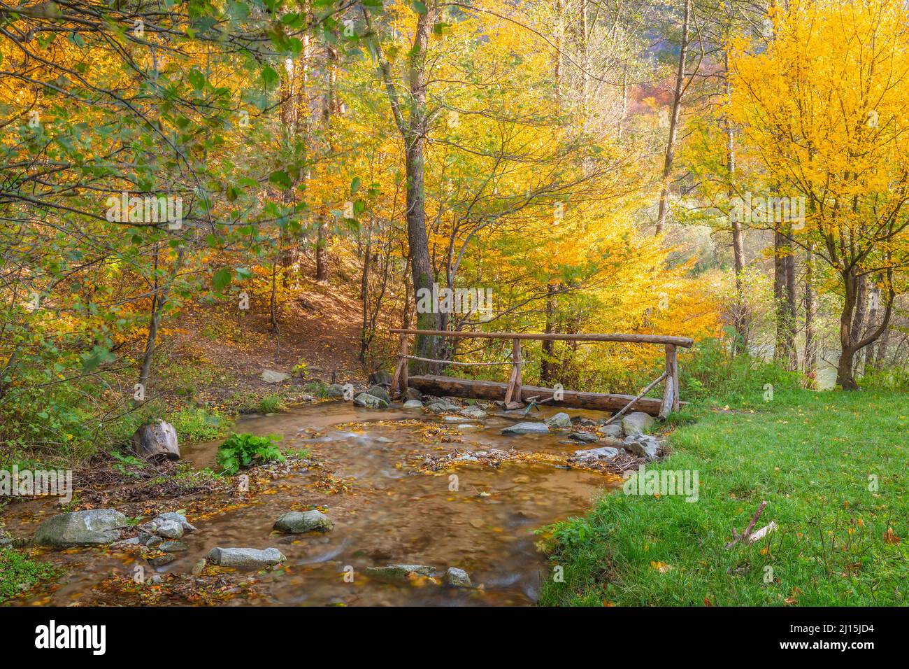 Wooden bridge over stream in a forest at autumn. The Mala Fatra ...