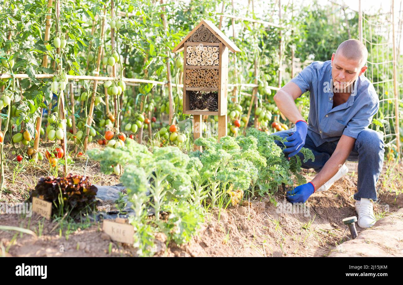 American garden tools hi-res stock photography and images - Alamy