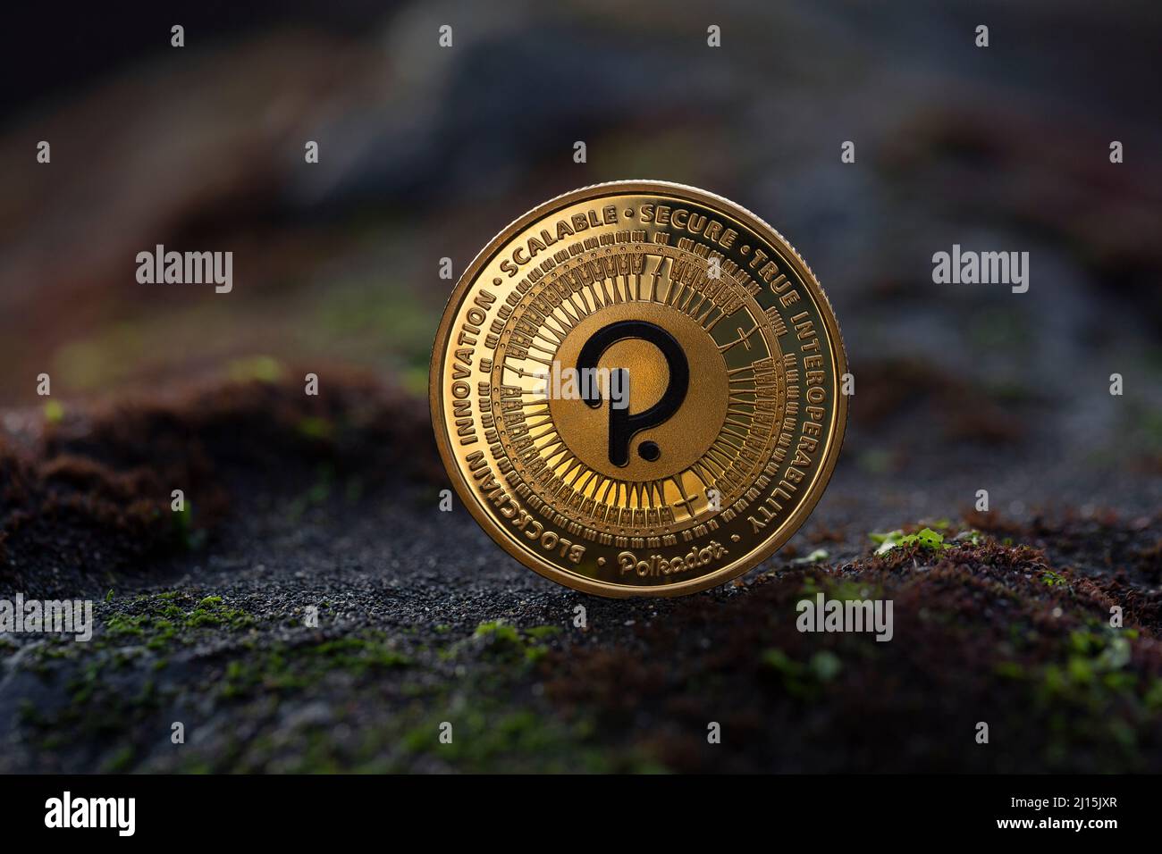Polkadot DOT Cryptocurrency Physical Coin Placed on the ground with ...