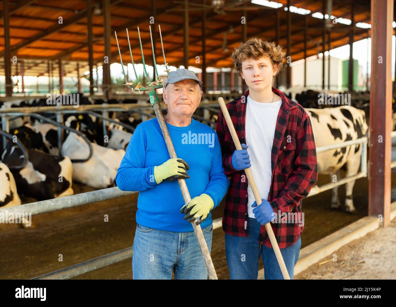 Teenage breeder hi-res stock photography and images - Alamy