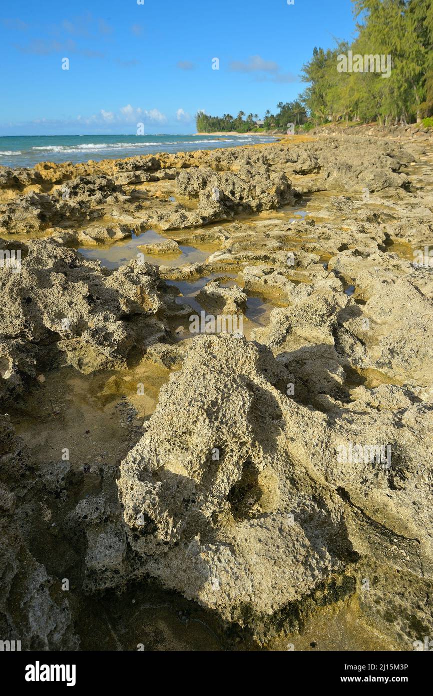 Scenic impressions from Kawela Beach on the North SHore, Oahu HI Stock ...