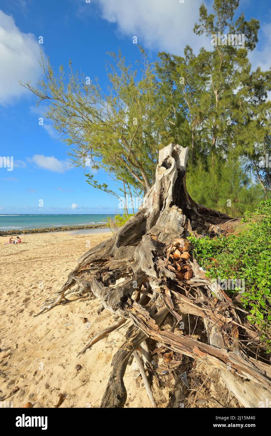 Scenic impressions from Kawela Beach on the North SHore, Oahu HI Stock ...