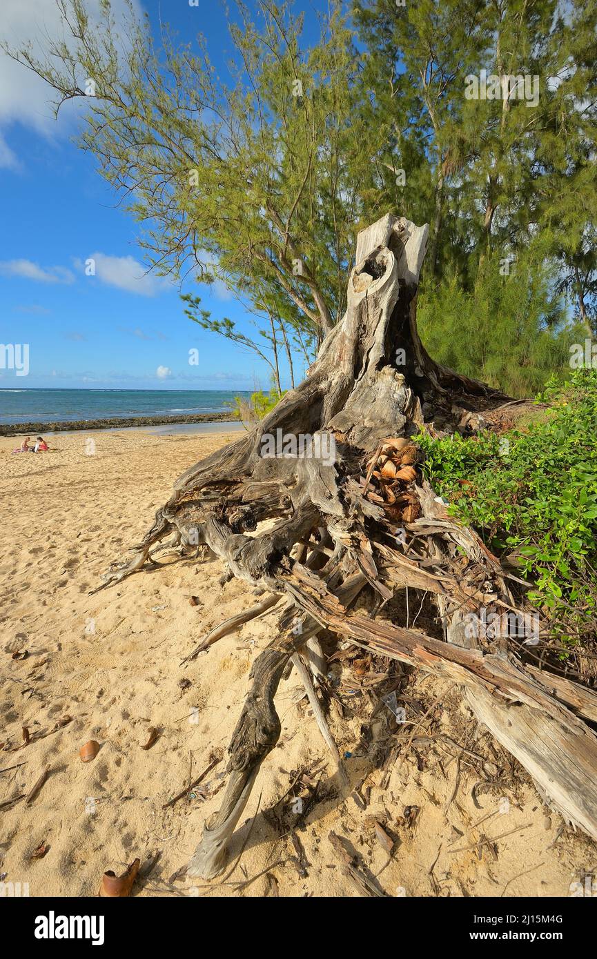 Scenic impressions from Kawela Beach on the North SHore, Oahu HI Stock ...