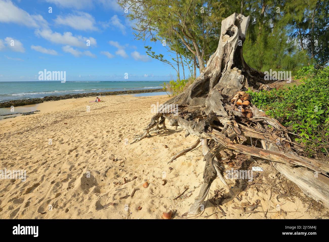 Scenic impressions from Kawela Beach on the North SHore, Oahu HI Stock ...