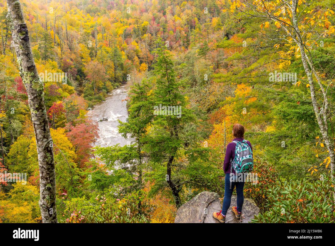 Female Hiker Viewing Fall Foliage Stock Photo - Alamy