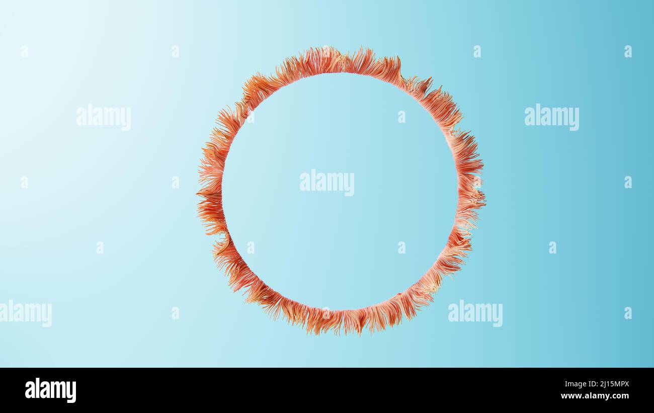 Round circle frame hi-res stock photography and images - Alamy