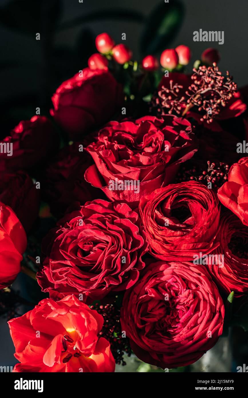 Bright red flowers bouquet Stock Photo - Alamy