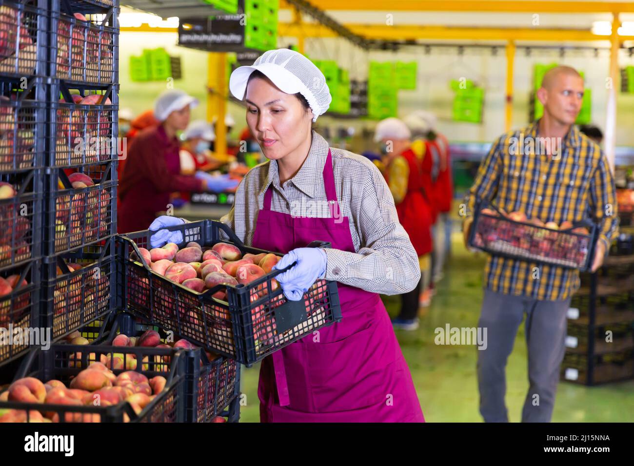 Sorting room hi-res stock photography and images - Alamy