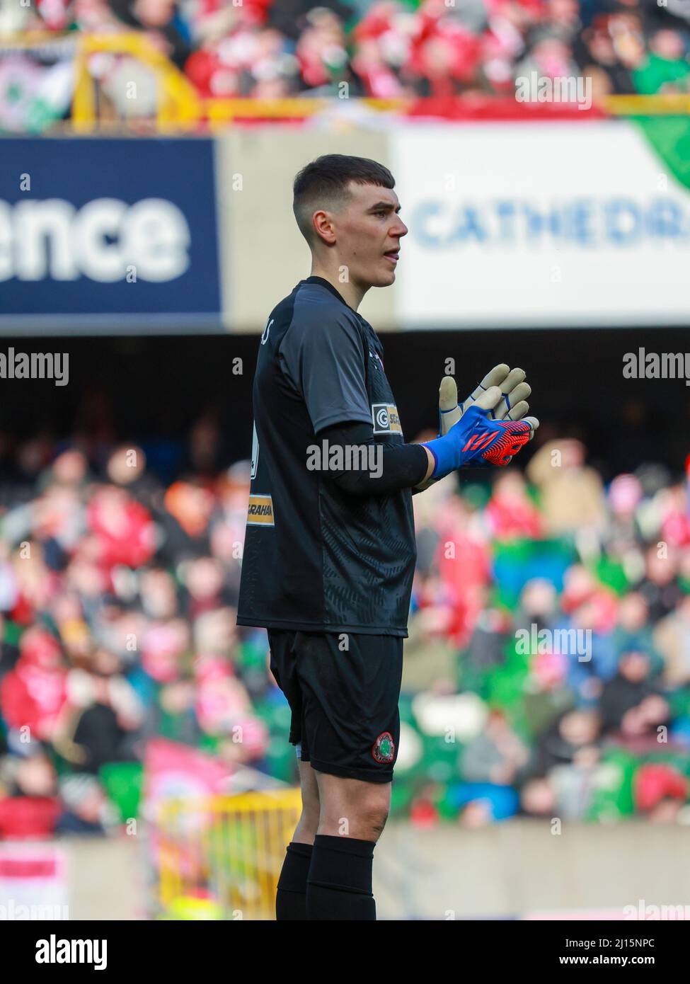 Windsor Park, Belfast, Northern Ireland, UK. 13 Mar 2022. BetMcLean ...