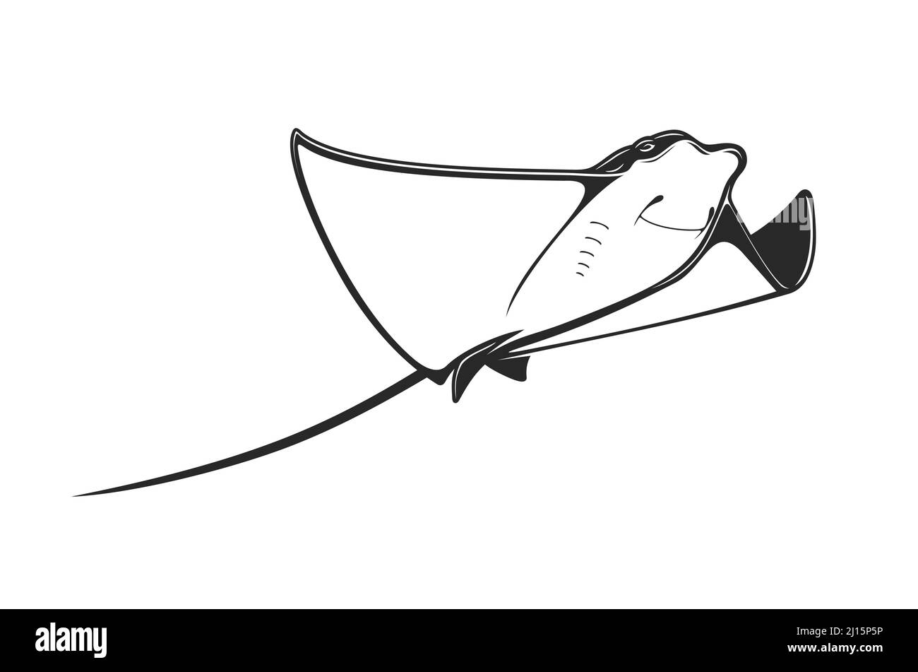 Oceanic manta ray Stock Vector Images - Alamy