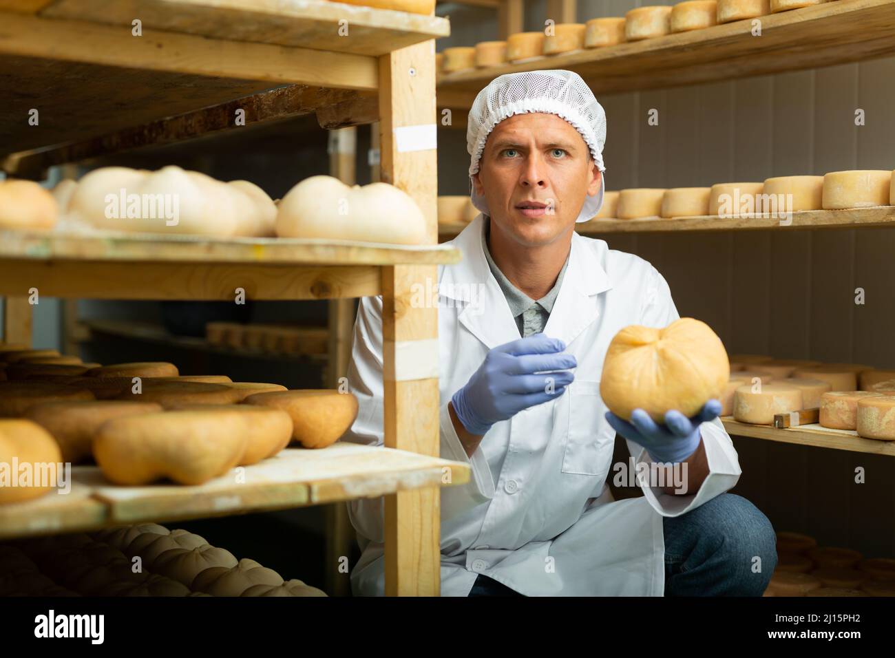 Cheesemaker checking aging process of cheese in maturing chamber Stock ...