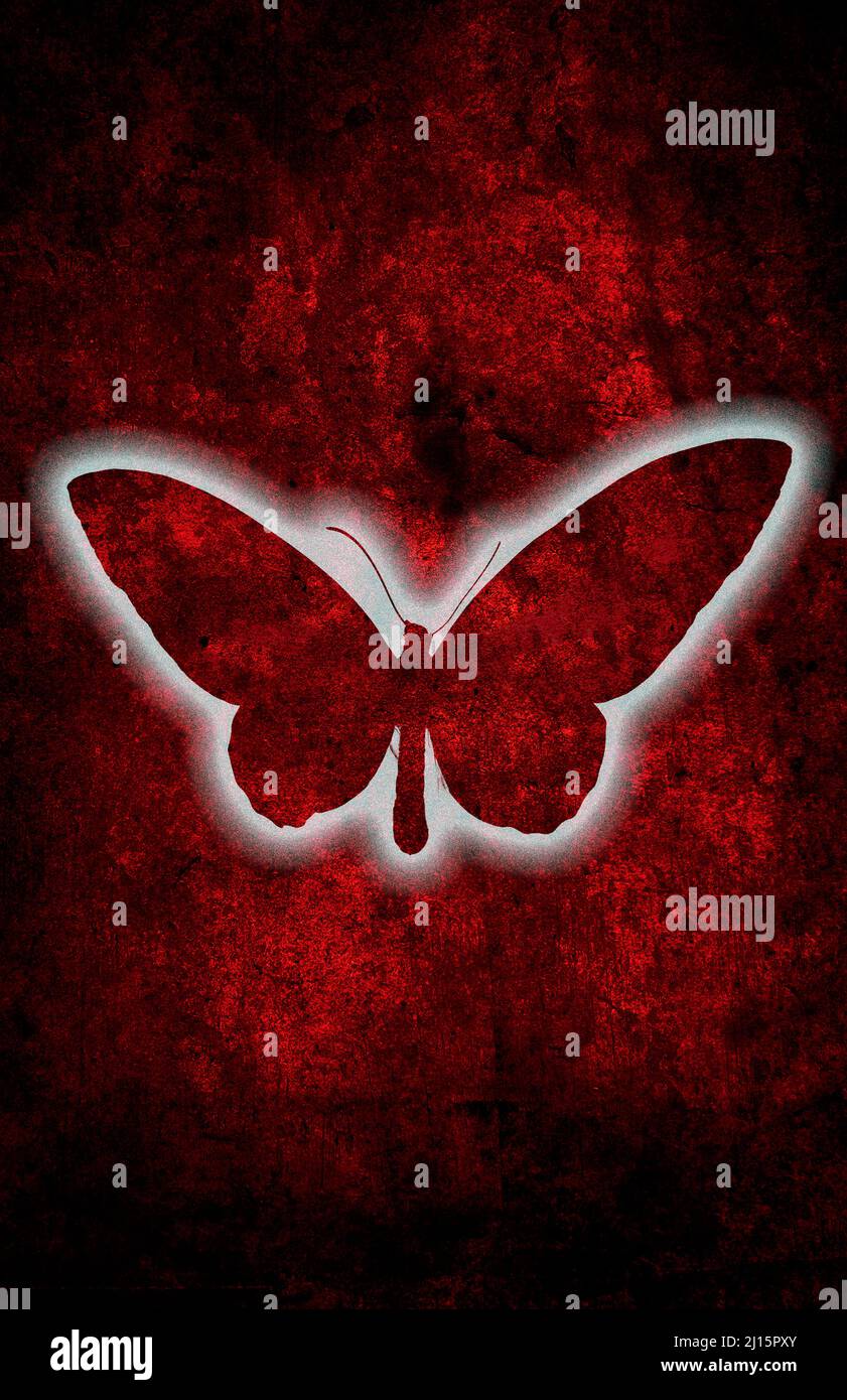 Preserved insects hi-res stock photography and images - Alamy