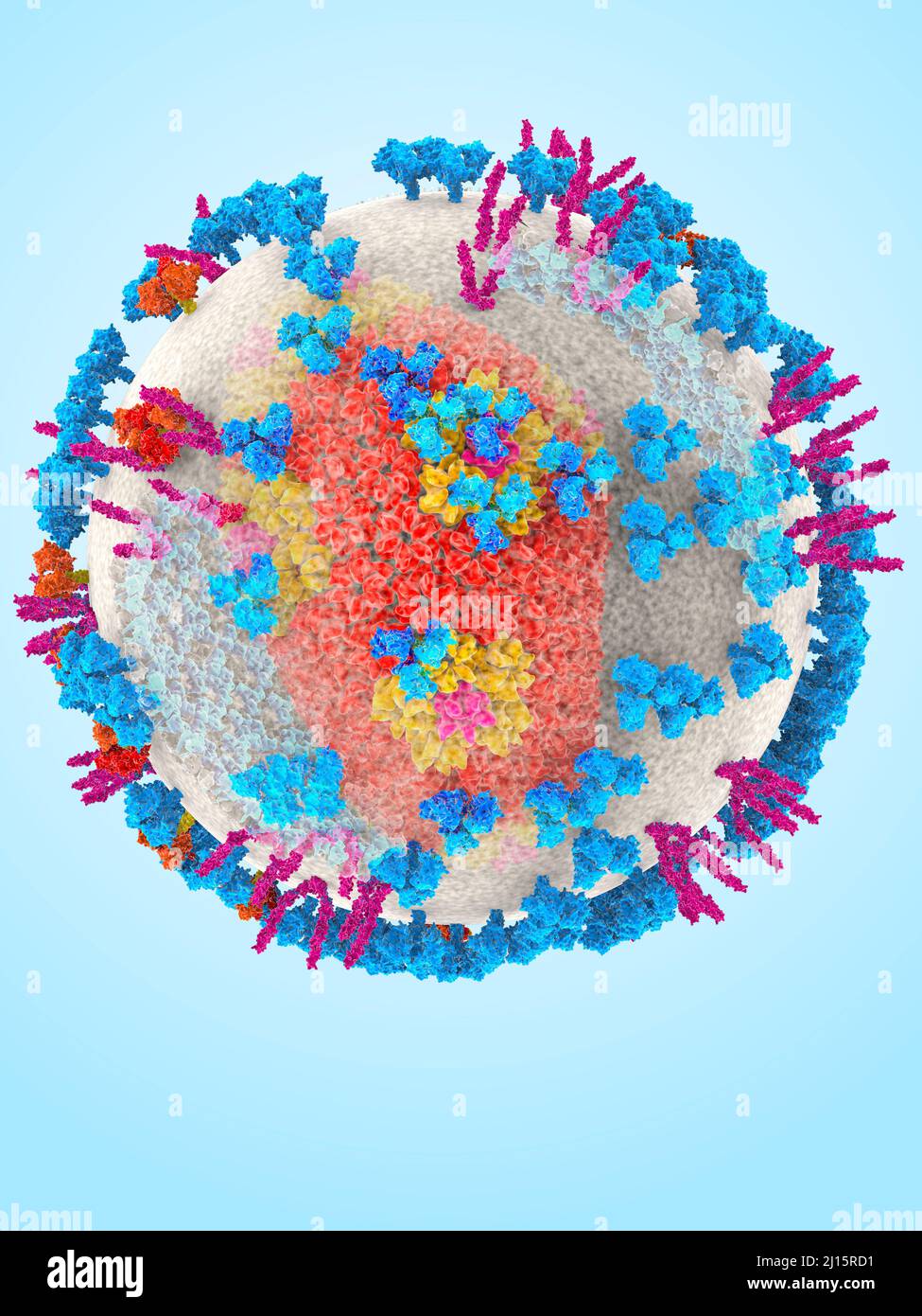 HIV particle, illustration Stock Photo - Alamy