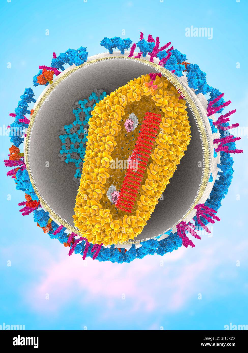 HIV particle, illustration Stock Photo - Alamy