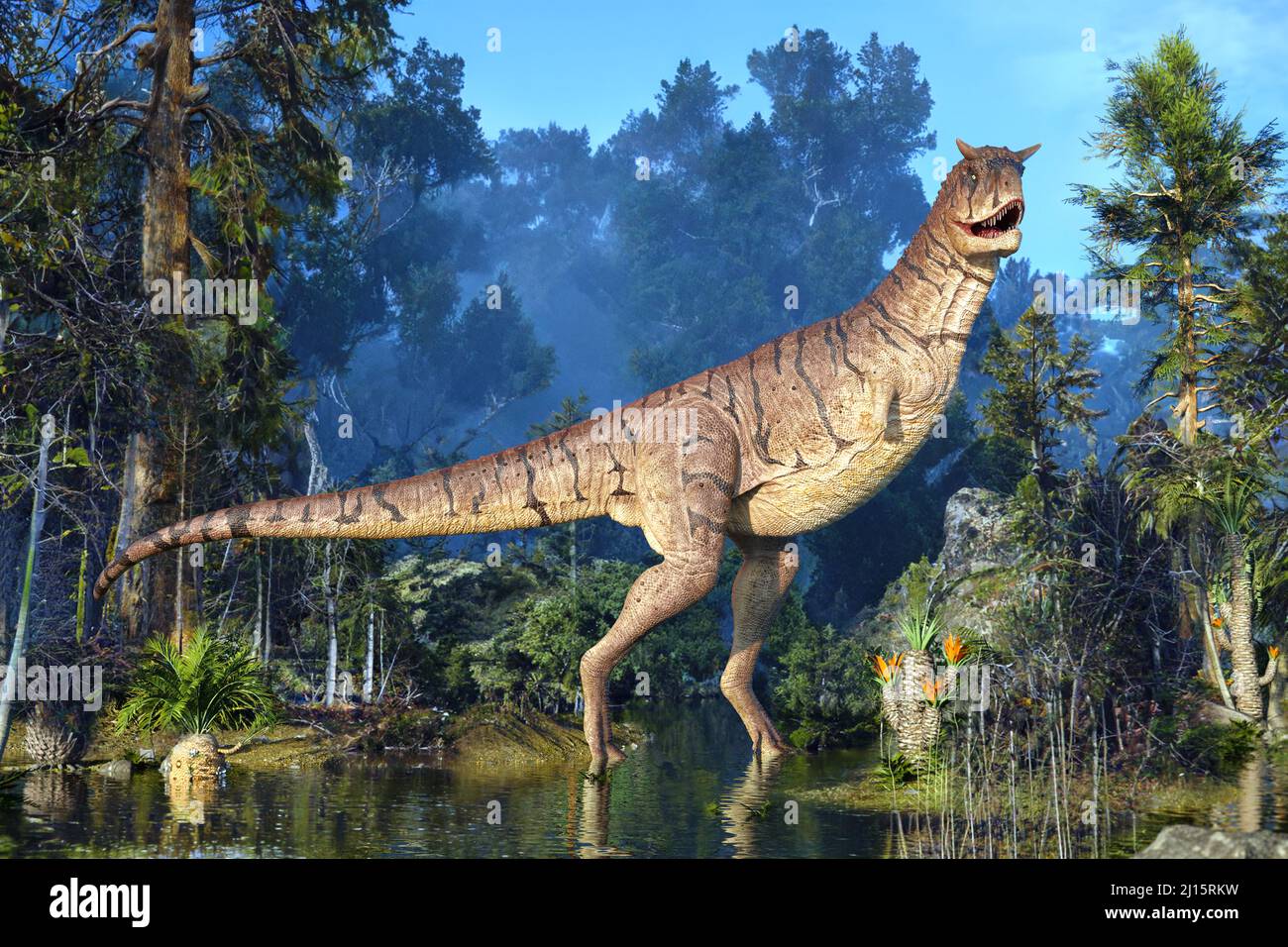 Carnotaurus dinosaur, illustration Stock Photo - Alamy