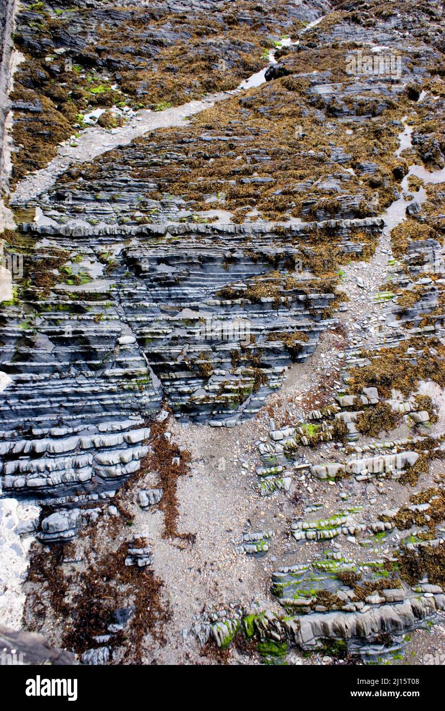Wave-cut platform from above Stock Photo - Alamy