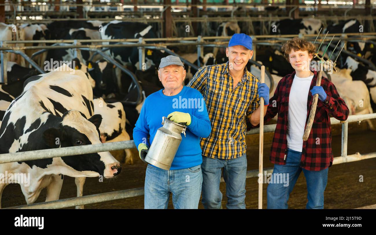 Three milk farm workers in cowhouse Stock Photo - Alamy