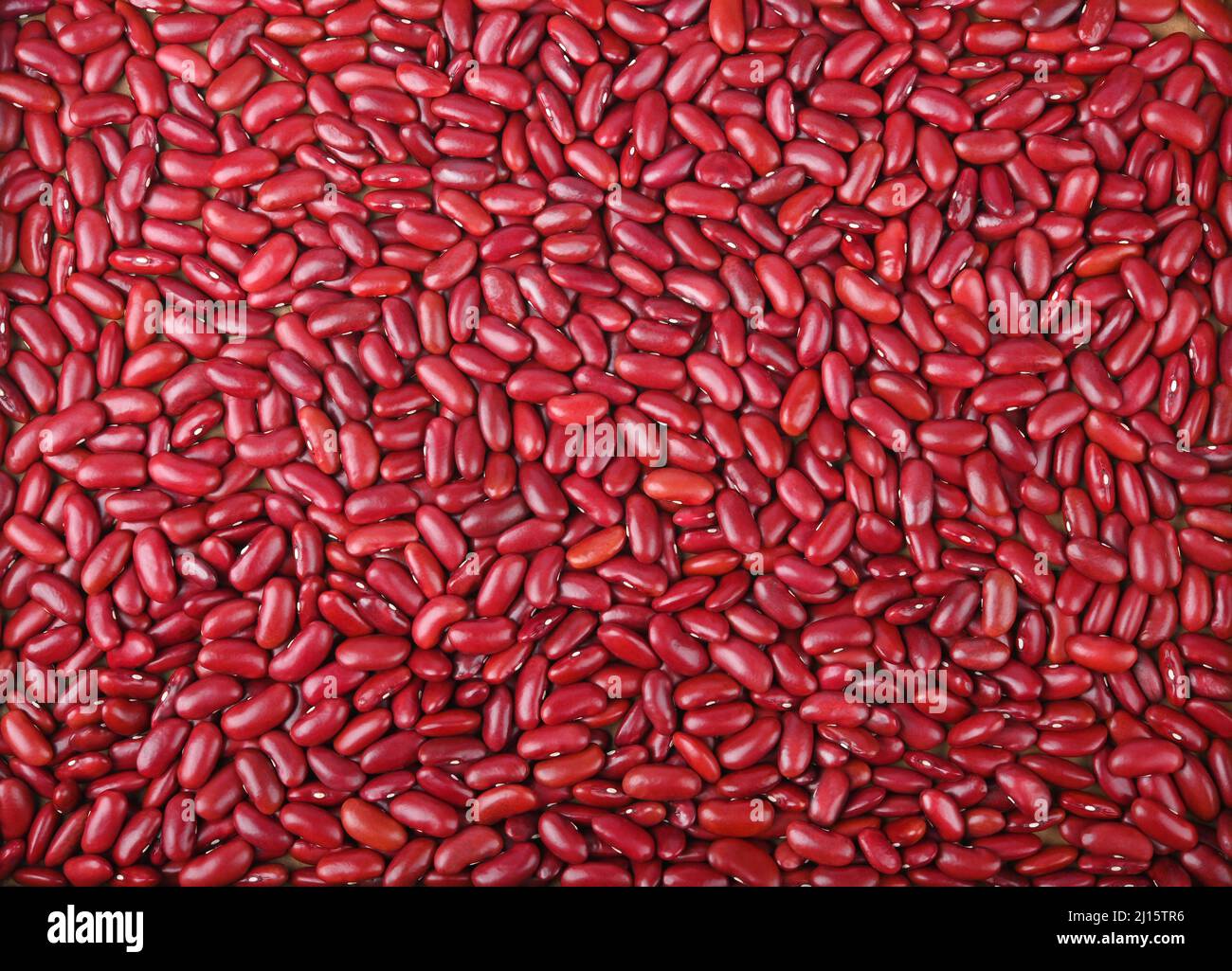 Close up Red beans background, Red beans seeds pattern as background ...