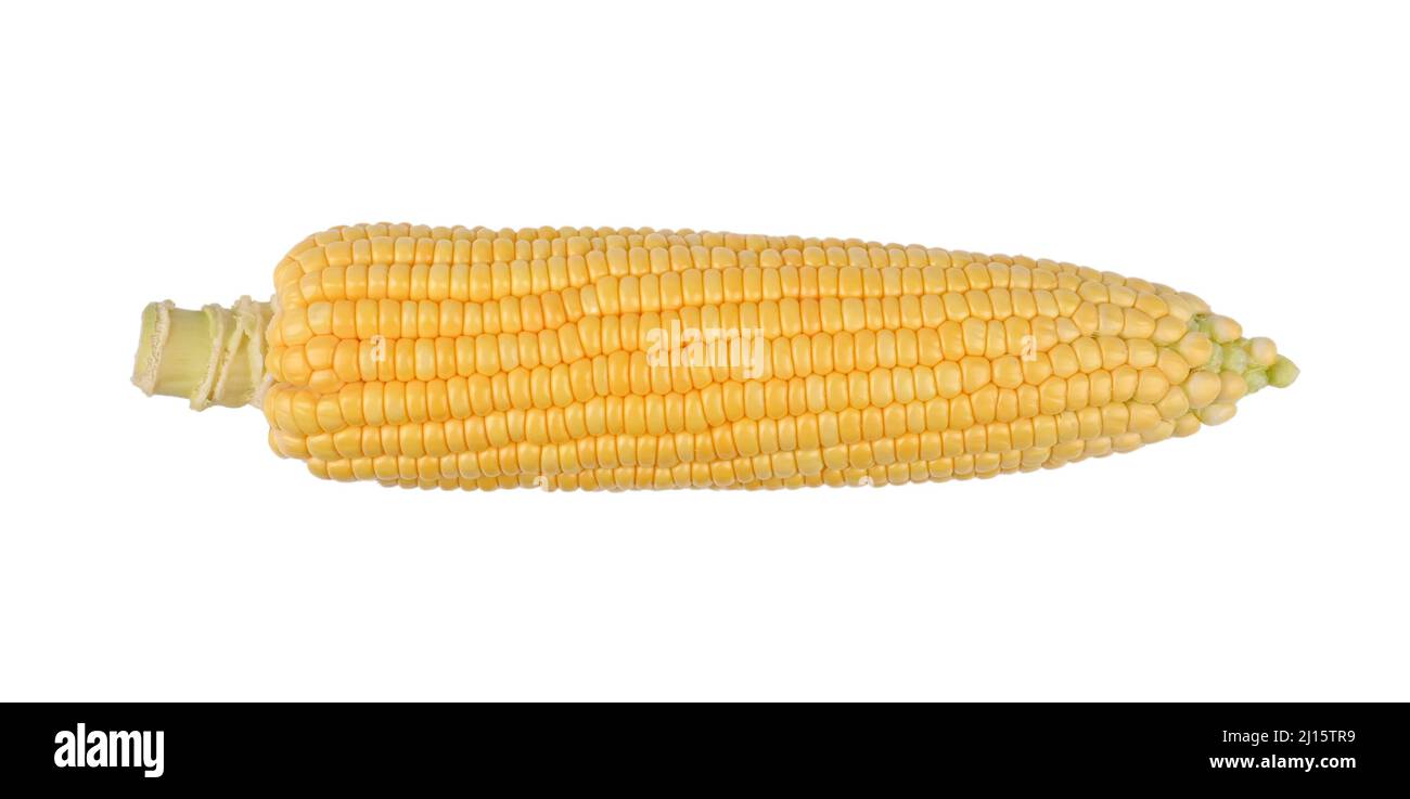 Raw Sweet corn isolated on white background. Top view Stock Photo - Alamy