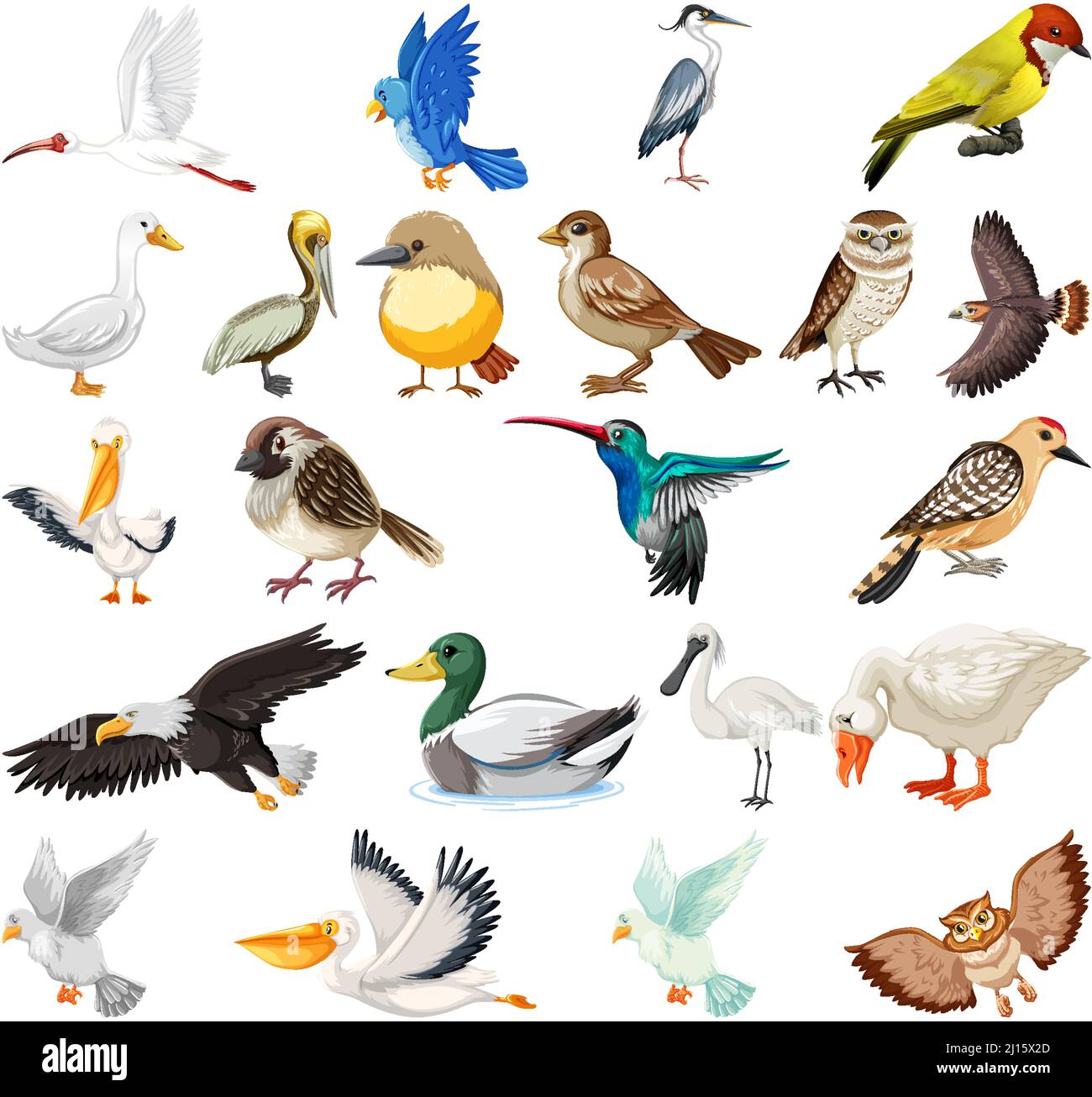 Different kinds of birds collection illustration Stock Vector Image ...
