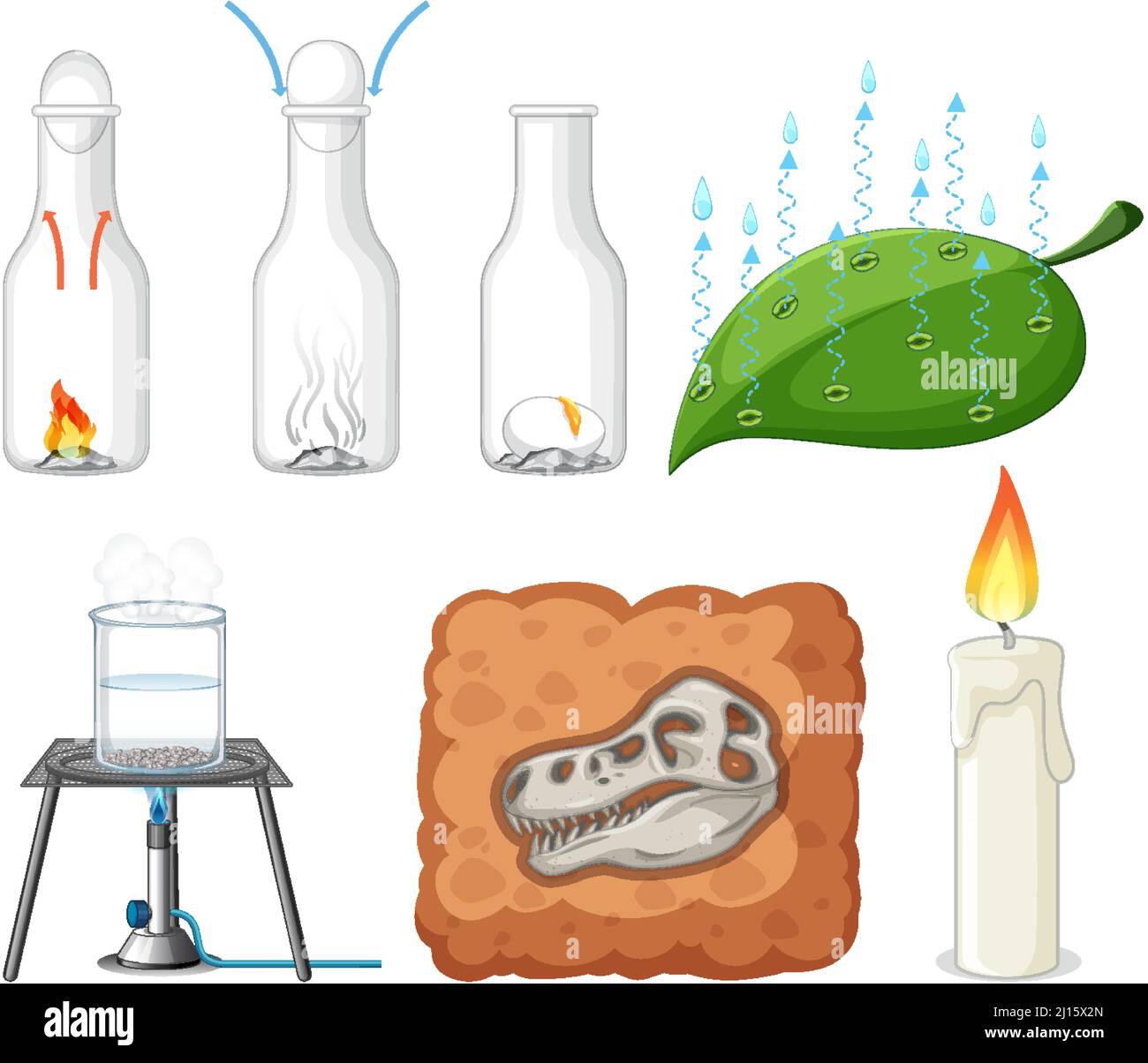 Set of equipment needed for science experiment illustration Stock ...