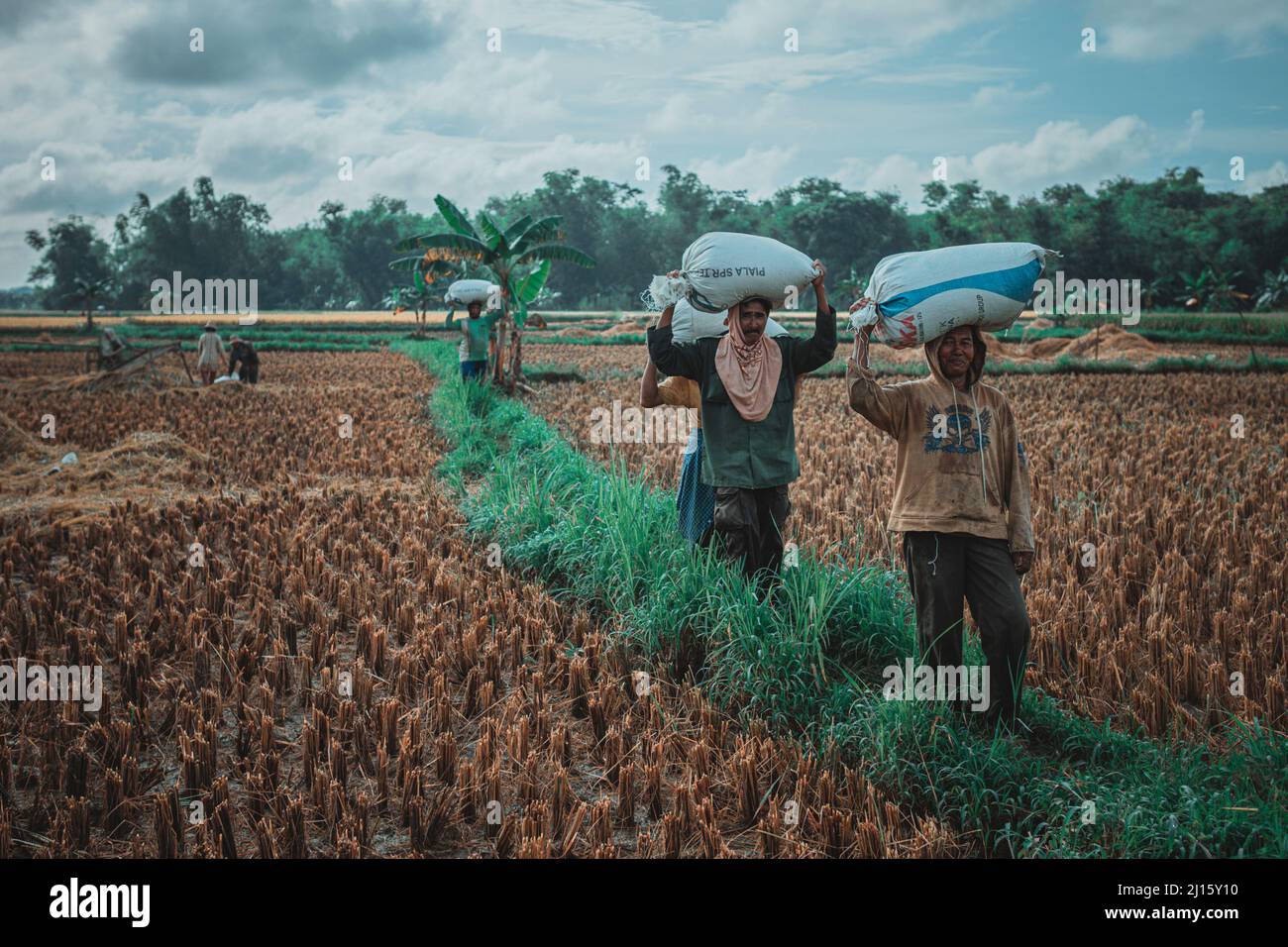 a group of farmers carrying their crops to take home in the Sampang ...