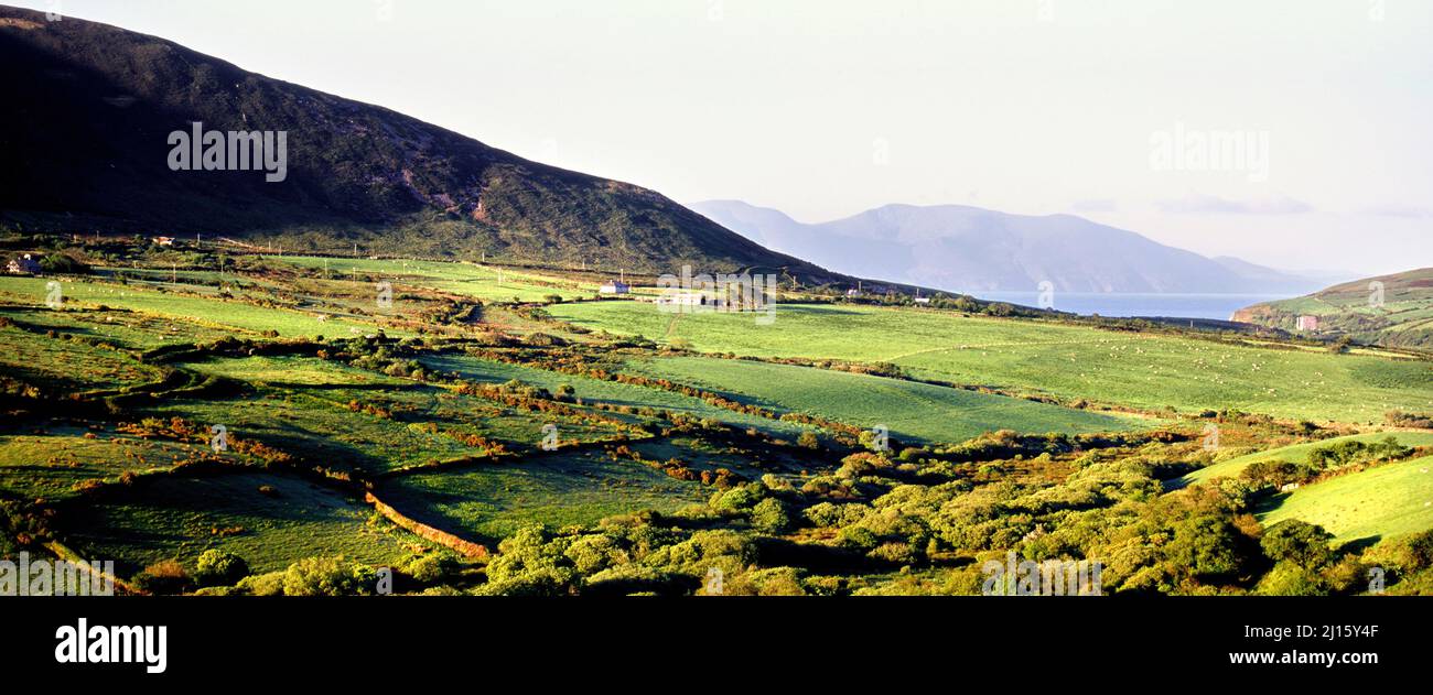 Irish Farm Landscape, County Kerry, Republic of Ireland Stock Photo - Alamy