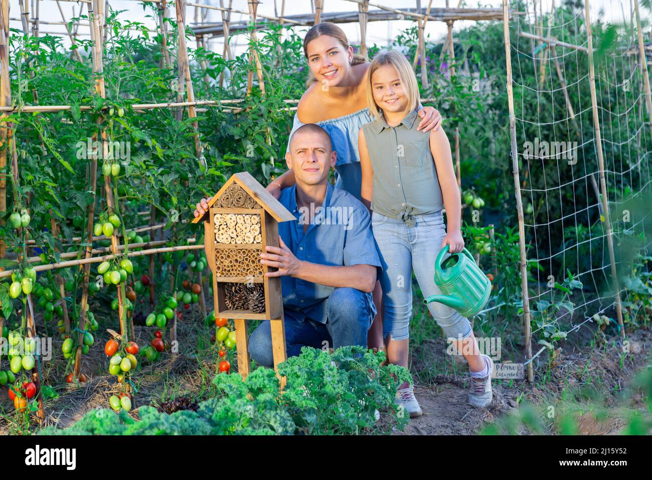 Family and insect hotel Stock Photo - Alamy